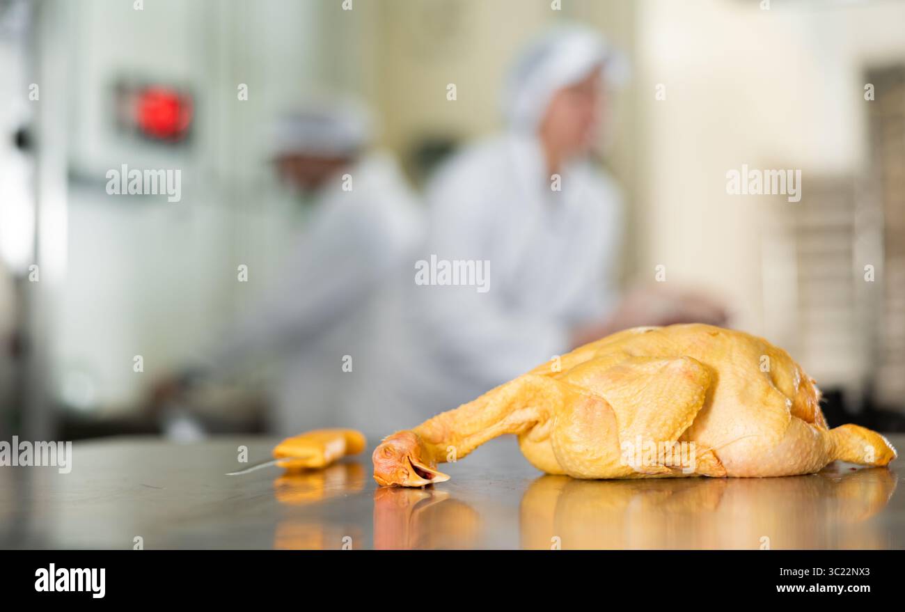 Raw dressed chicken lying on cutting table of butchers shop Stock Photo ...