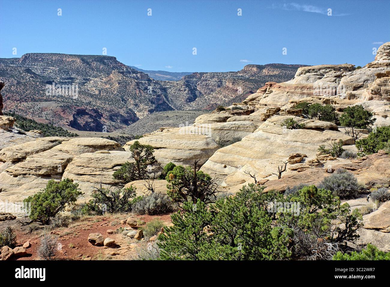 Capitol reef petroglyph hi-res stock photography and images - Alamy