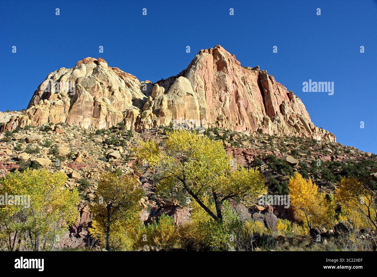 Capitol reef petroglyph hi-res stock photography and images - Alamy