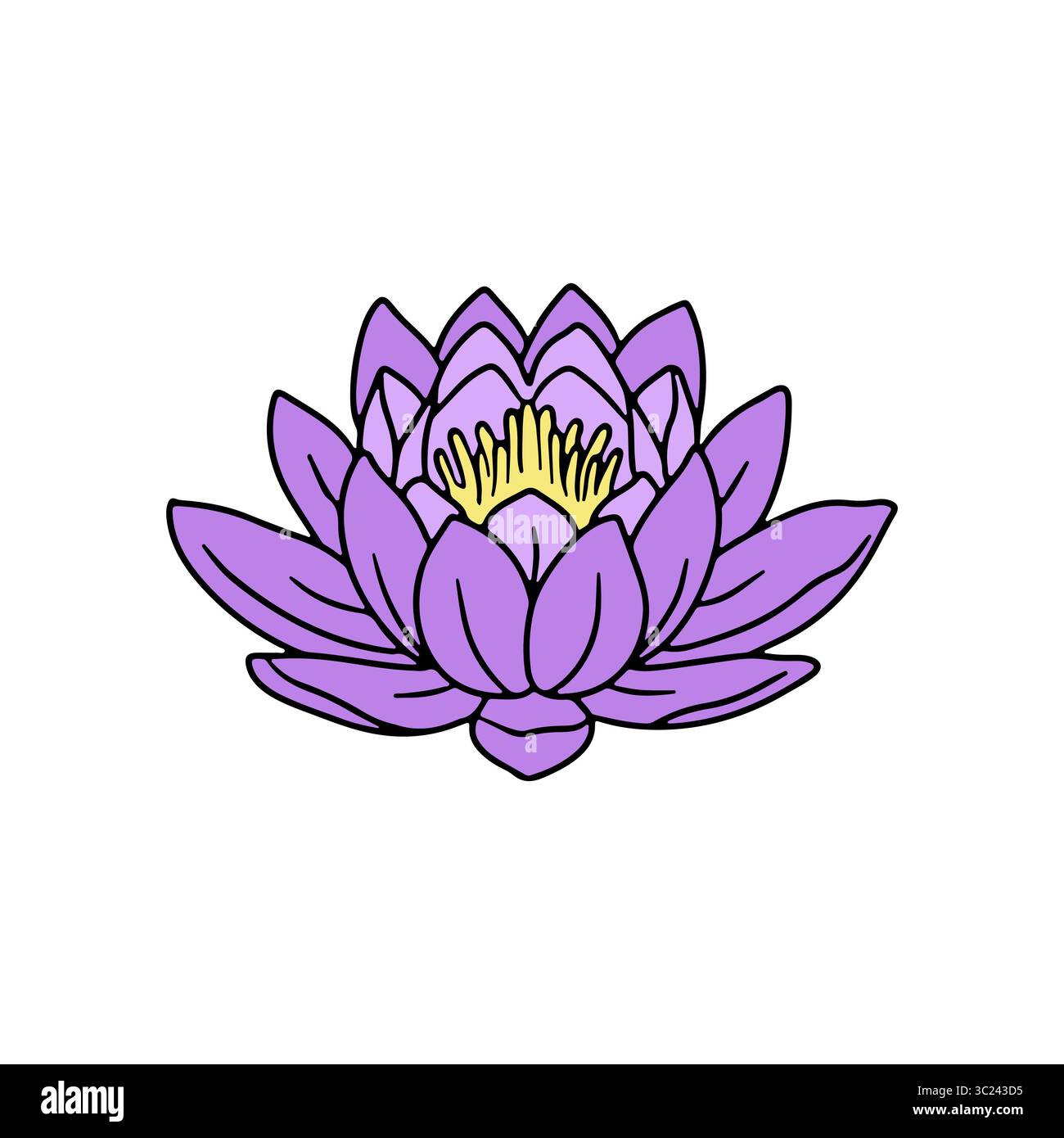 Lotus flower violet purple Stock Vector Images - Alamy