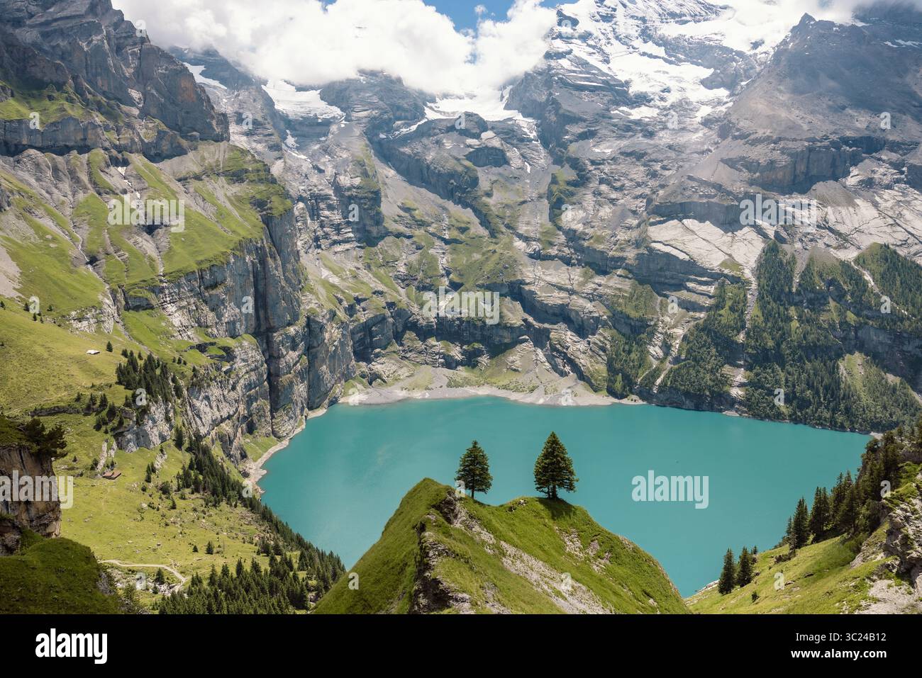 The Instagram famous two trees above Lake Oeschinen in the Bernese Alps ...
