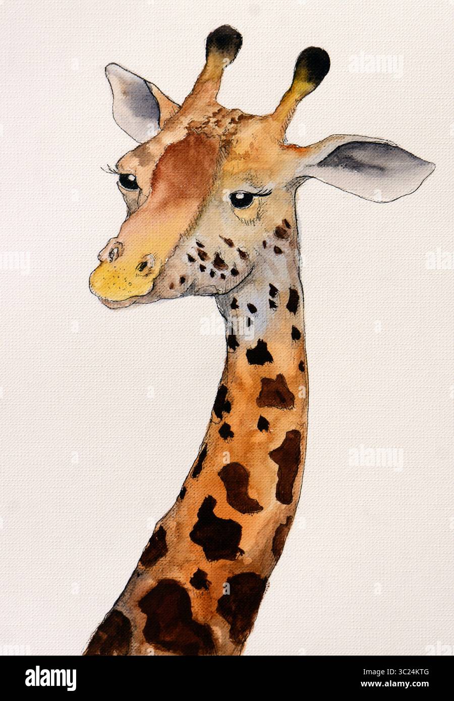 Illustration of an African giraffe. Hand-painted using ink pen and ...