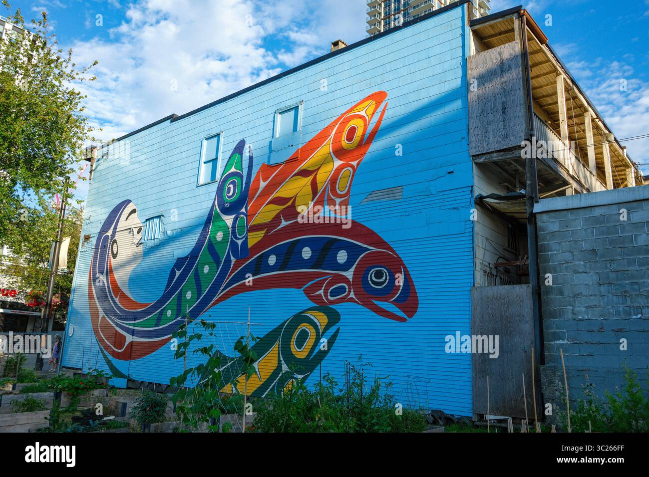 A First Nations mural & community garden along Granville Street in ...