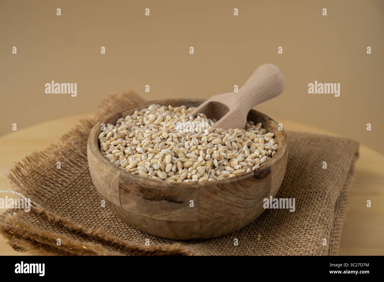 Pearl barley in neutral beige background. Whole spelt grain species ...