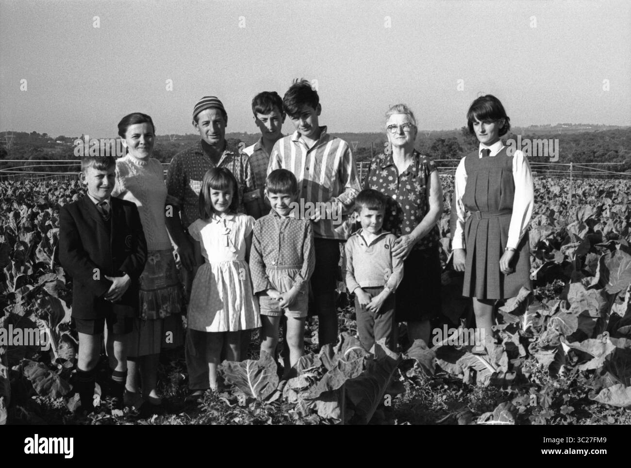Italian immigrant Pietro Ceccato, who came to Australia in 1949 with ...