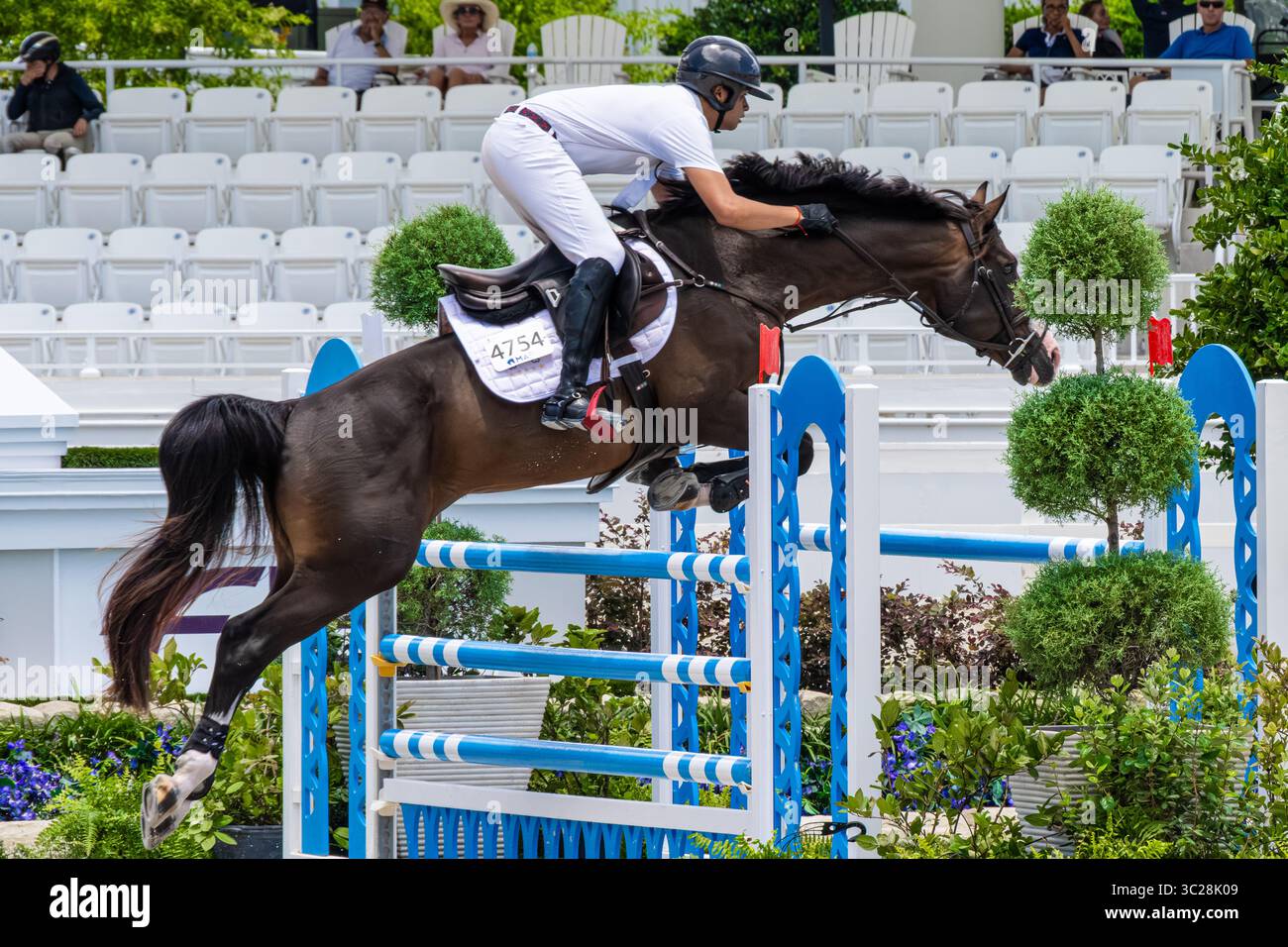 Matiz ls elite hi-res stock photography and images - Alamy