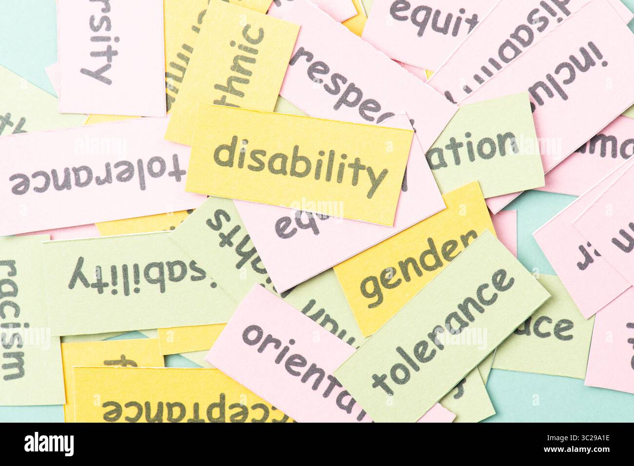 Disability, Inclusion, Human Equality Rights, Tolerance And Ethnic ...