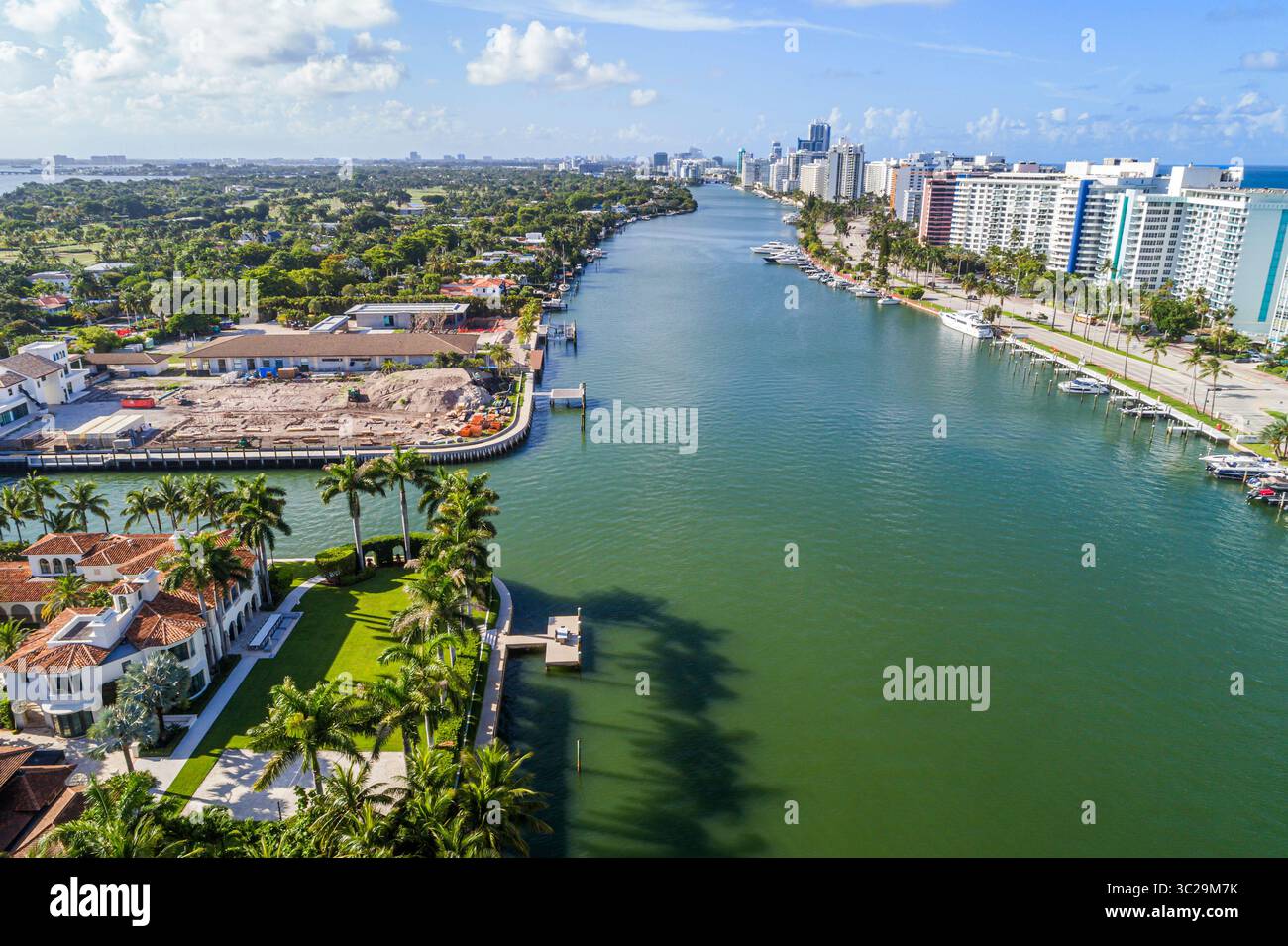 Aerial rise above palm grove hi-res stock photography and images - Alamy