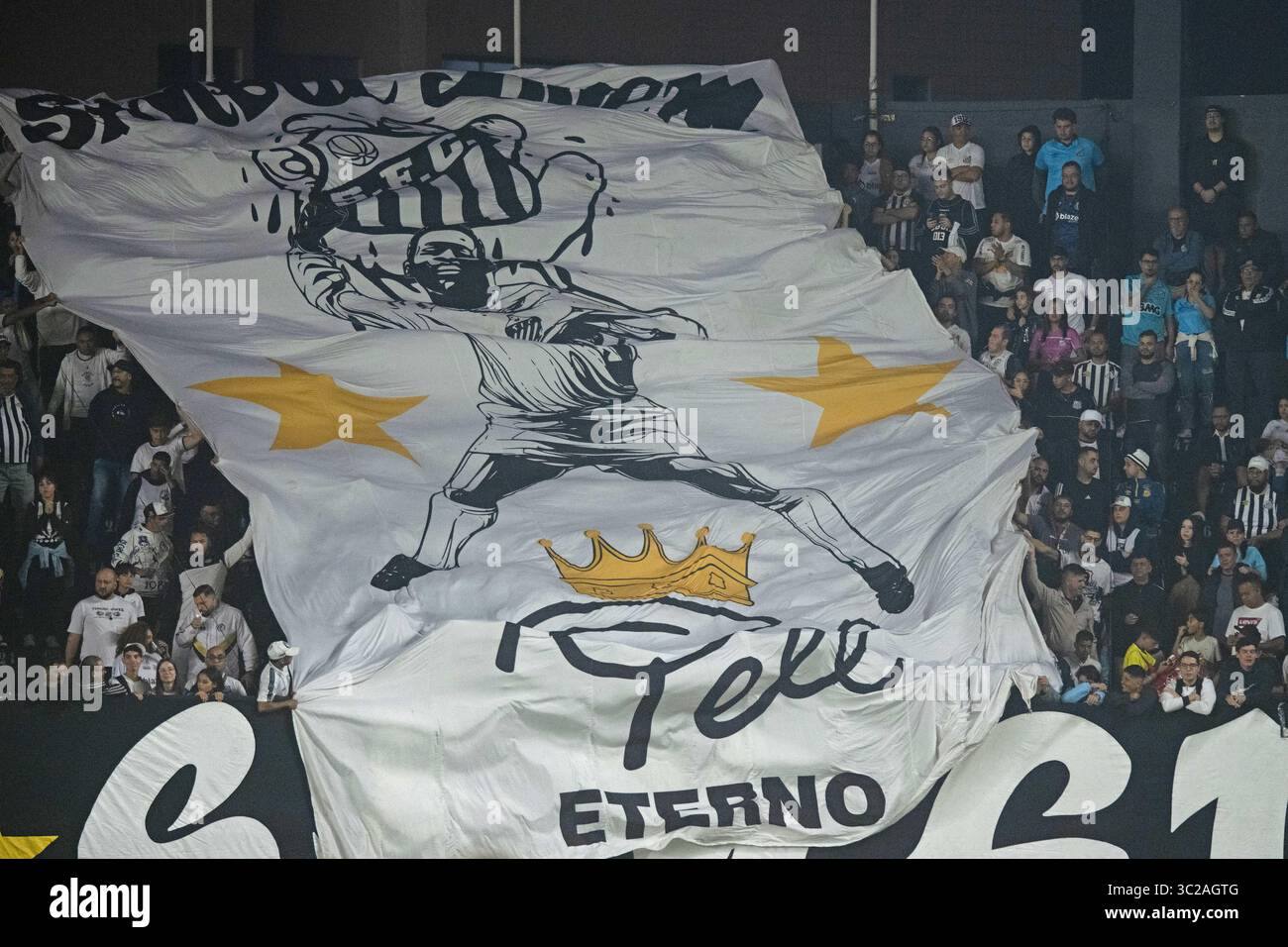 Santos fans display a flag with an image of former player Pele during ...