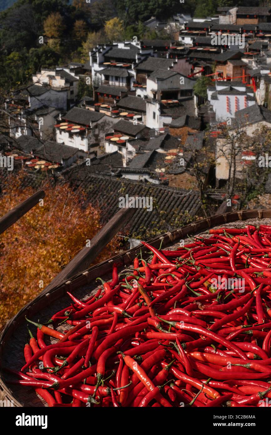 Celebrating harvest season in a rural Chinese village with sun-dried ...