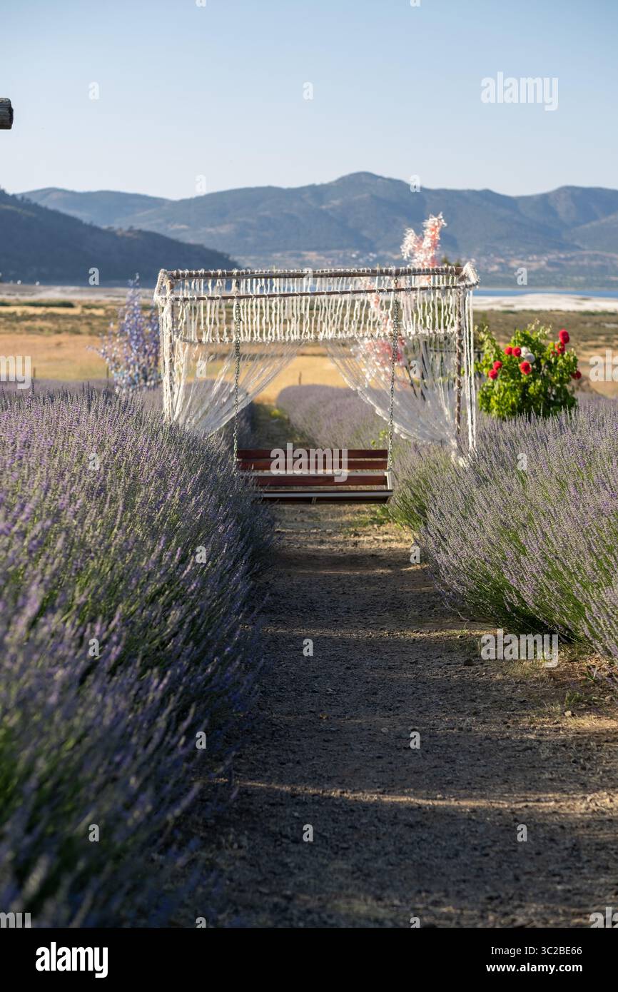 Tranquil walkway flanked vibrant hi-res stock photography and images ...