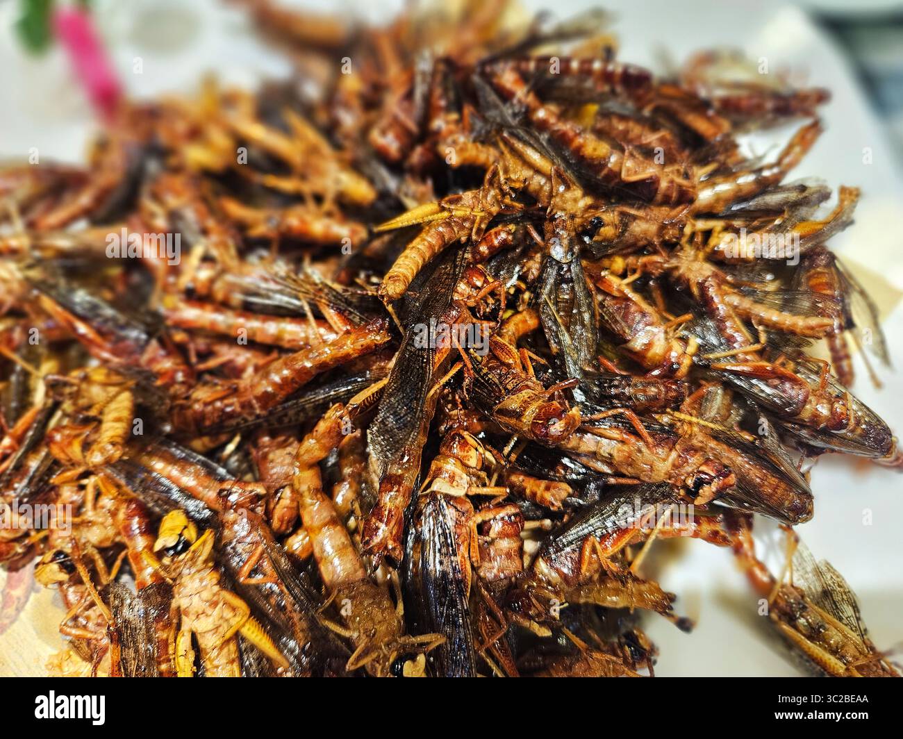 Entire fried insects hi-res stock photography and images - Alamy