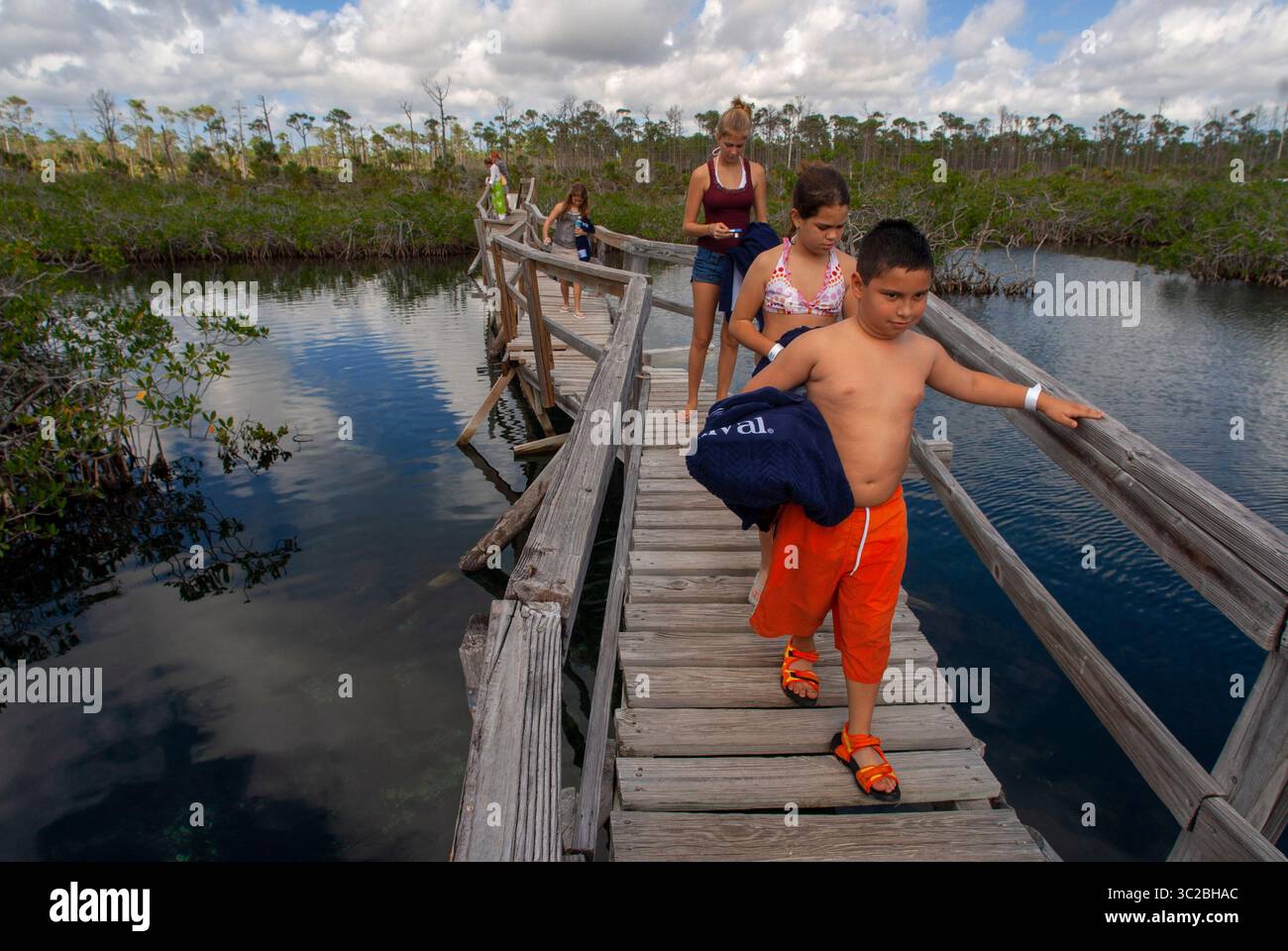 May 24, 2019: Bahamas: Grand Bahama, Bahamas. Mangroves path. Exploring ...
