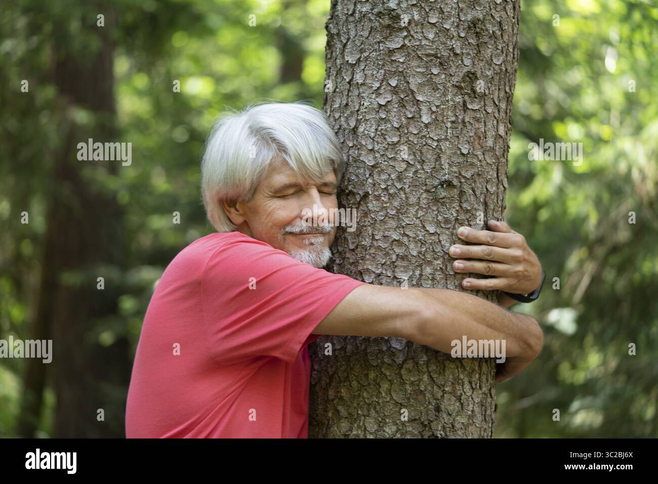 Fit, older man in sports outfit hugging tree in forest, close-up Stock ...