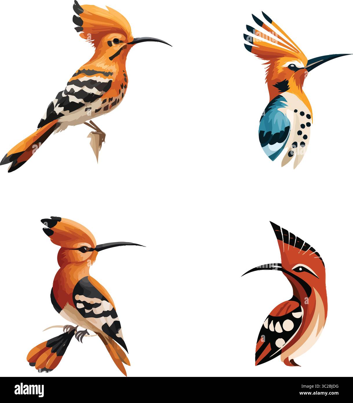 Stylized Hoopoe Bird Illustration Set – Colorful Crested Bird Portraits ...