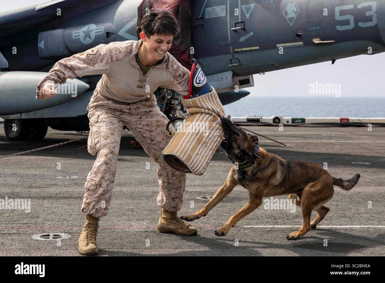 May 22, 2019 - Arabian Sea - U.S. Marine Cpl. Shannon Lilly, a ...