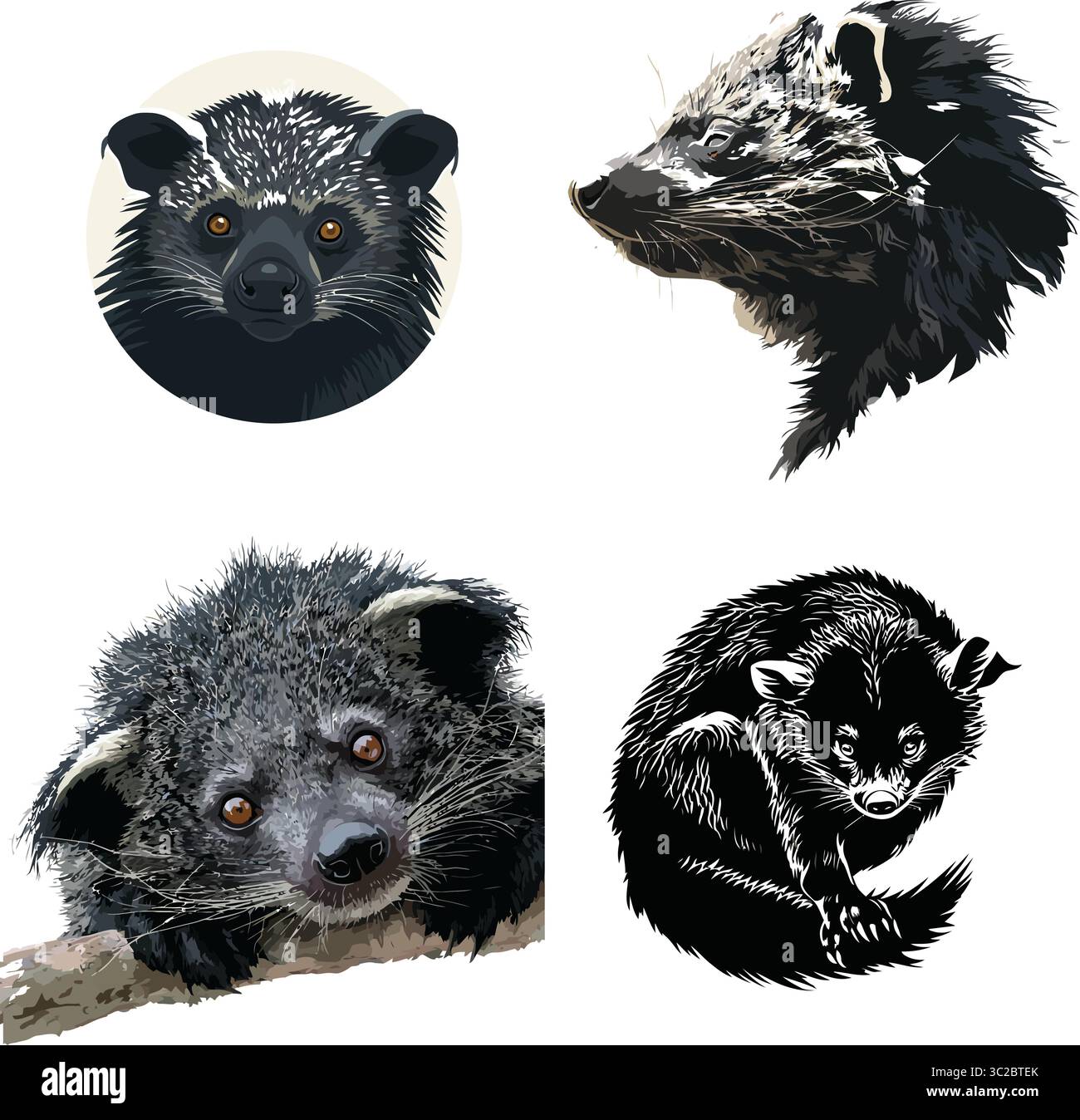 Realistic & Stylized Binturong (Bearcat) Vector Art Collection Stock ...