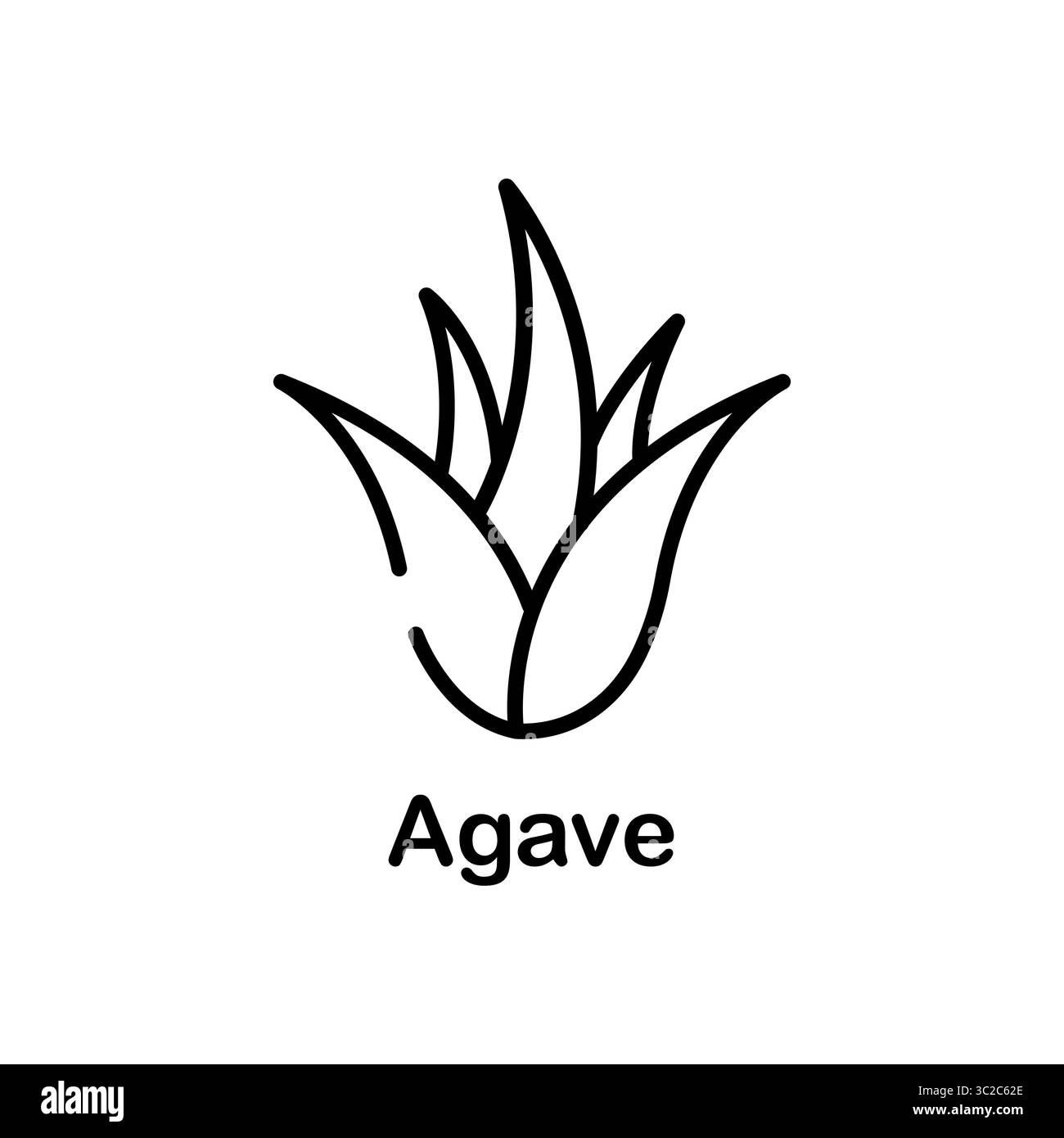 Aloe vera icon symbol template for graphic and web design collection ...