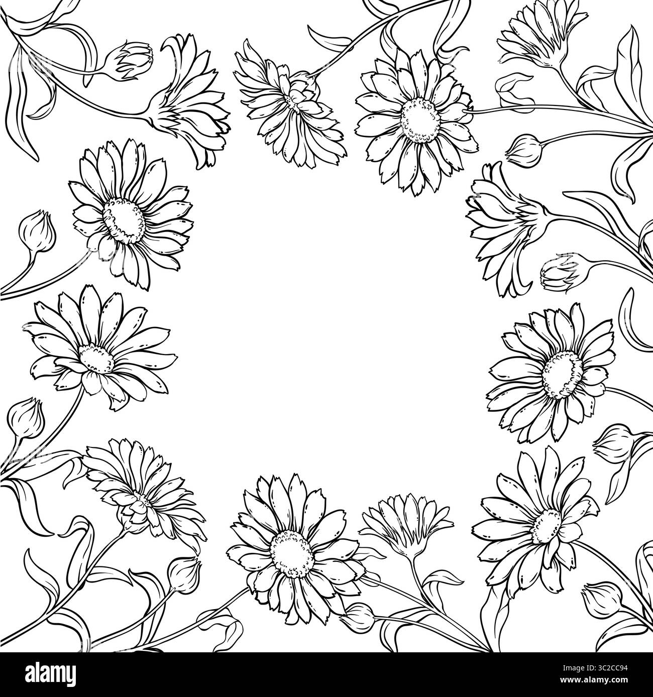 Calendula Plant with Flowers Outline Frame Stock Vector Image & Art - Alamy