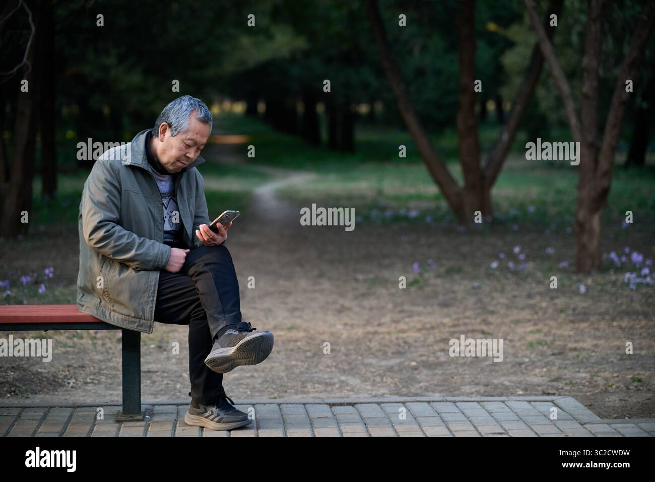 Elderly man reading a book while seated alone on a park bench Stock ...
