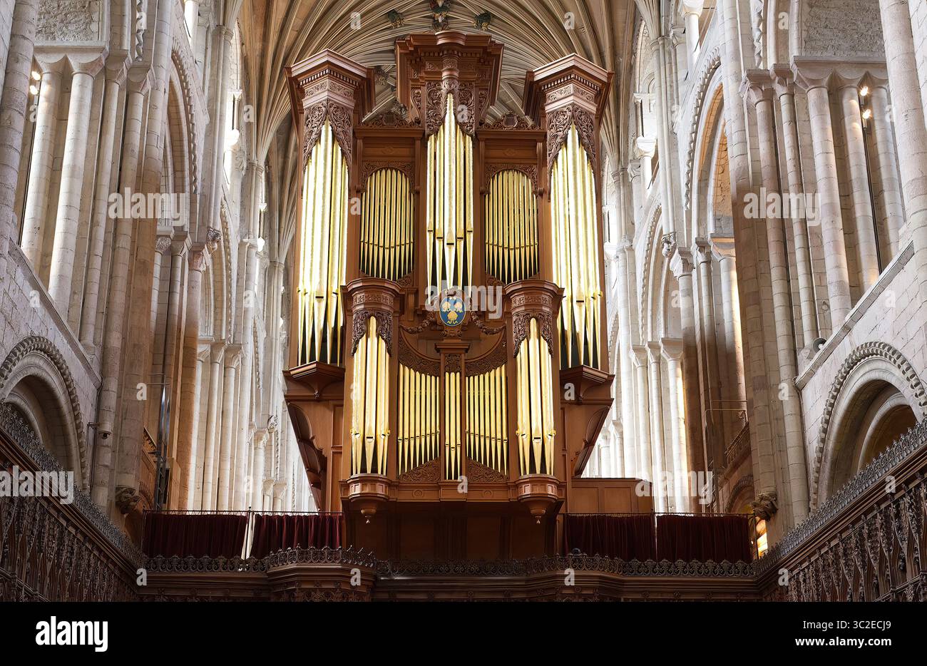 Organ shapes hi-res stock photography and images - Alamy
