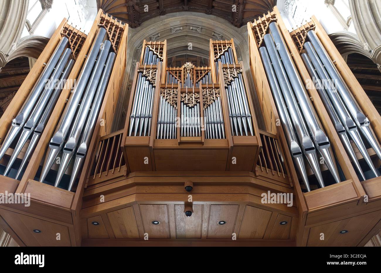 Organ shapes hi-res stock photography and images - Alamy