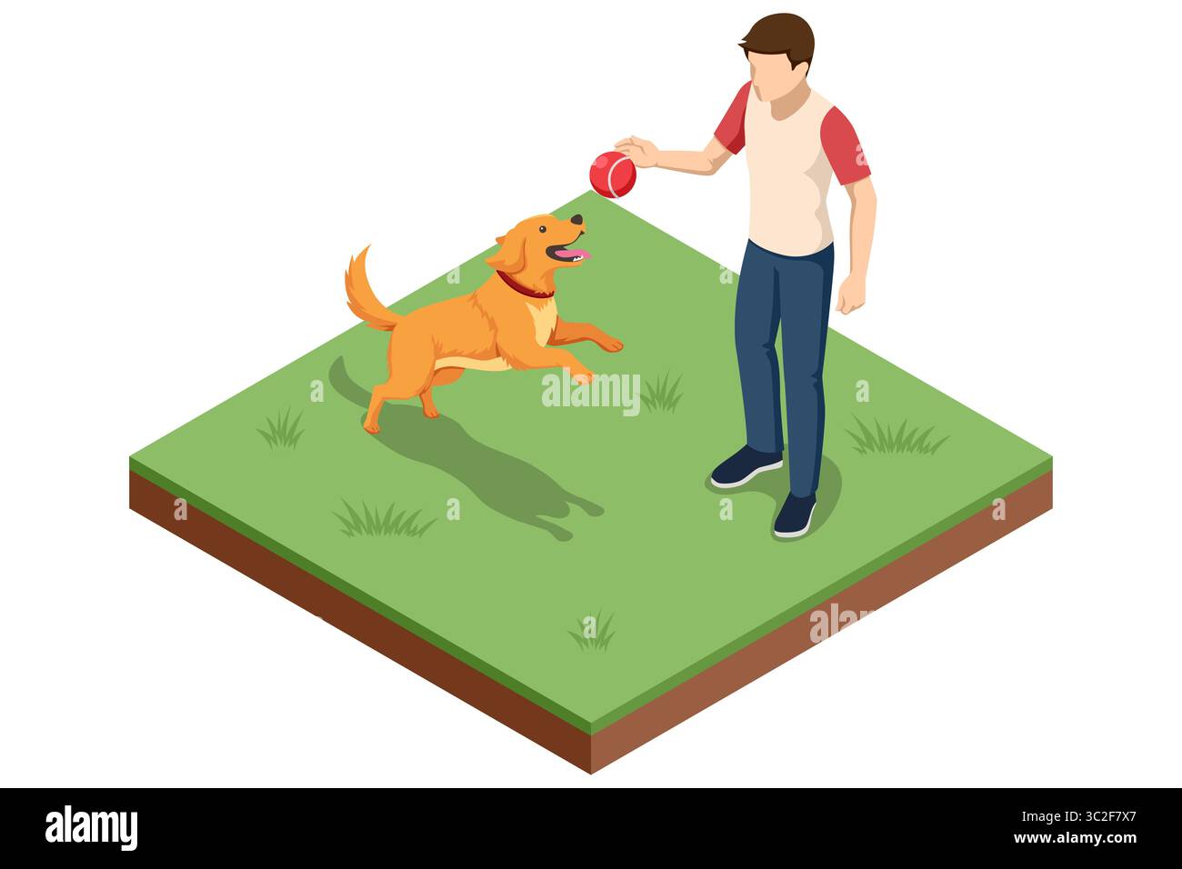 Golden retriever puppy in grass Stock Vector Images - Alamy