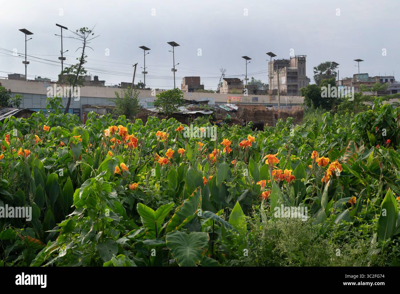 Bihar, India. Narkatiaganj. Motorway flyover with solar powered lights ...