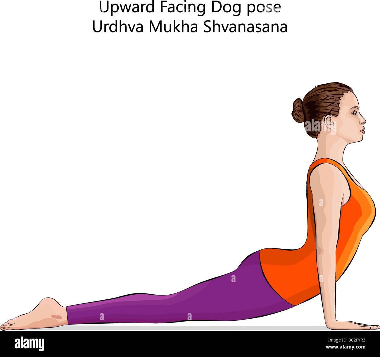 Young woman practicing Urdhva Mukha Shvanasana yoga pose. Upward Facing ...