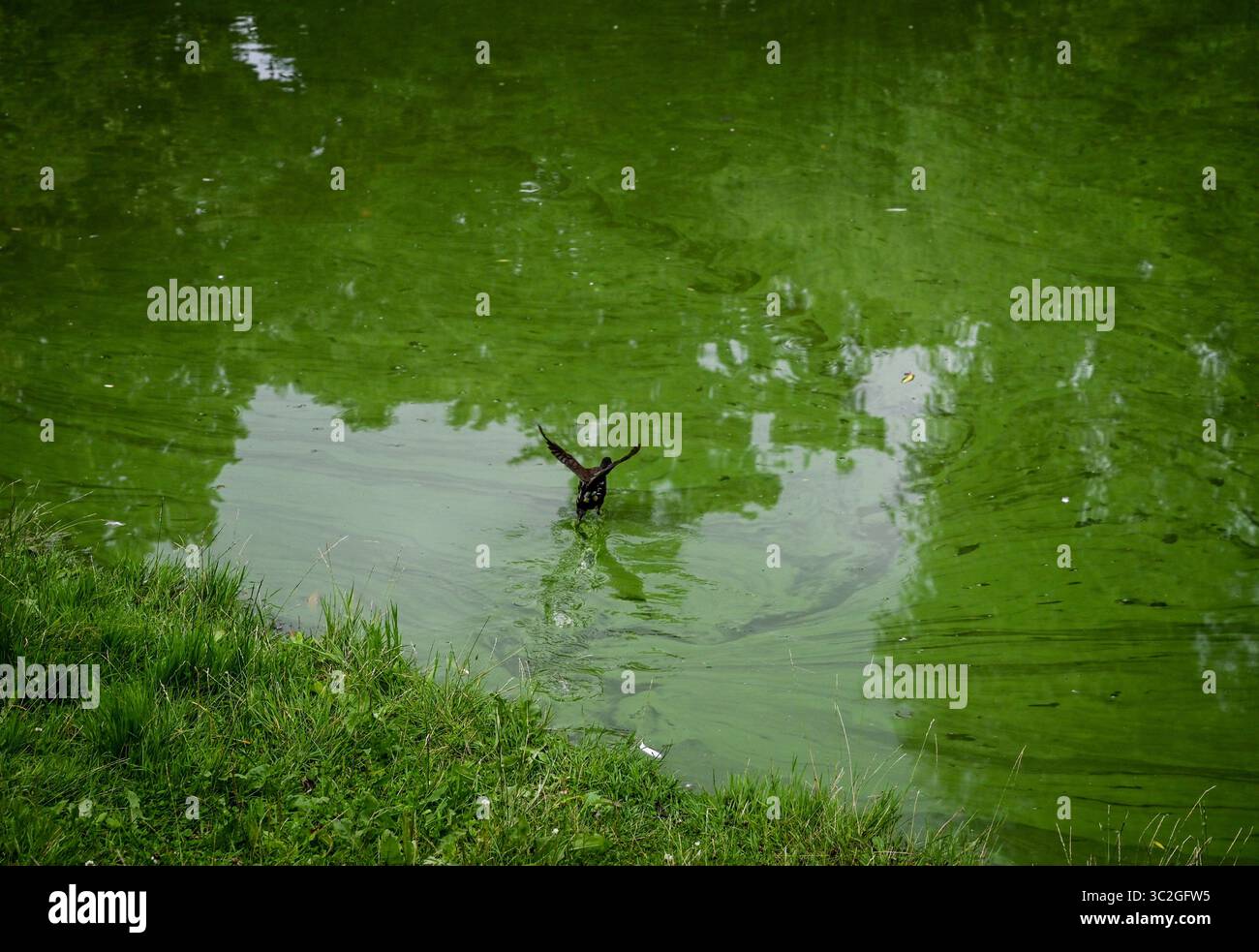 Stadtpark lichtenberg hi-res stock photography and images - Alamy