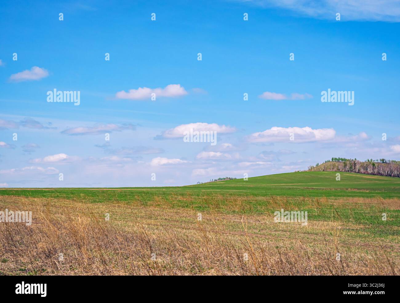 Fields spring blue sky hi-res stock photography and images - Alamy