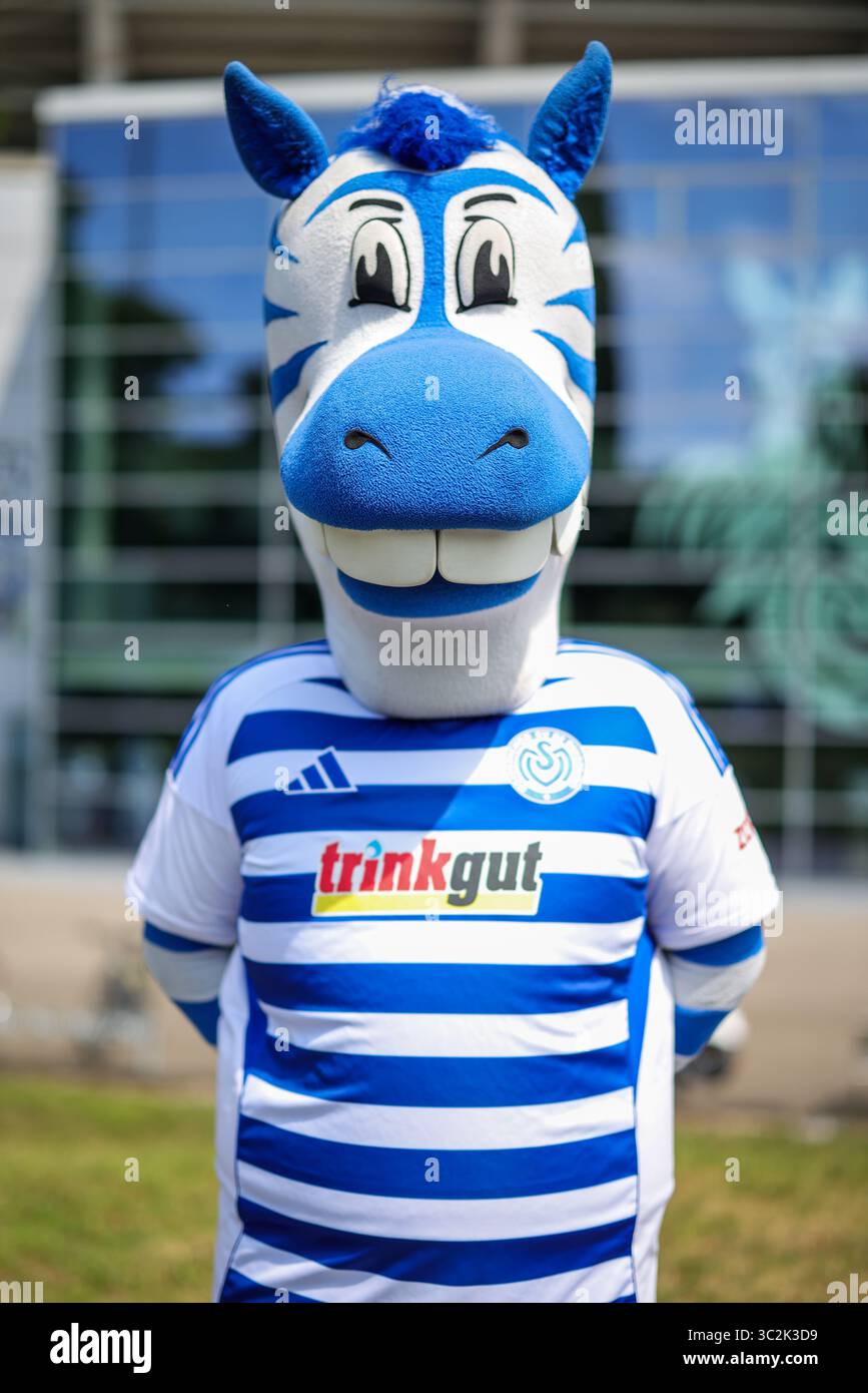 Duisburg, Germany. 24th July, 2025. Soccer: 3rd league, MSV Duisburg ...