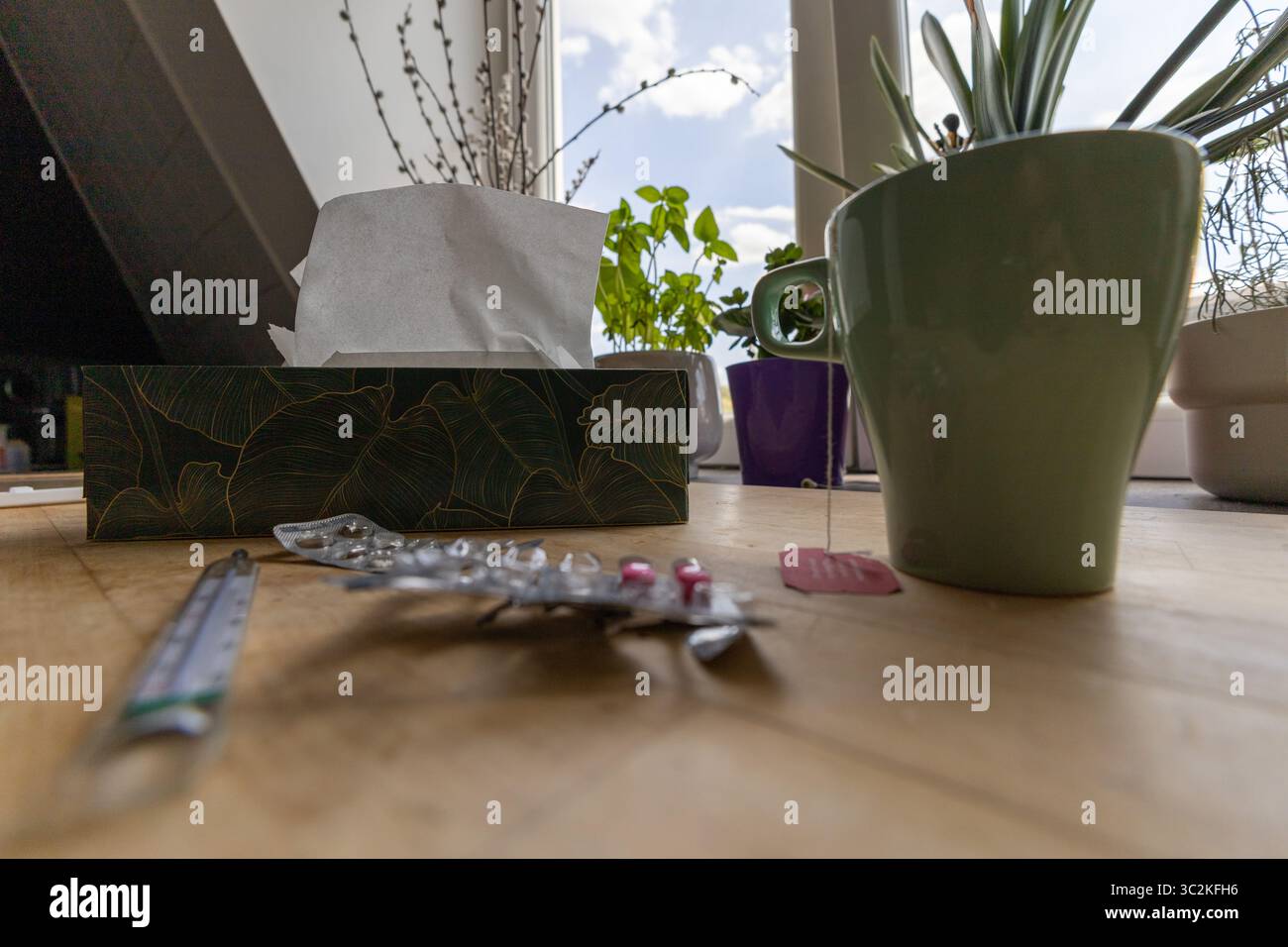 Support home hi-res stock photography and images - Alamy