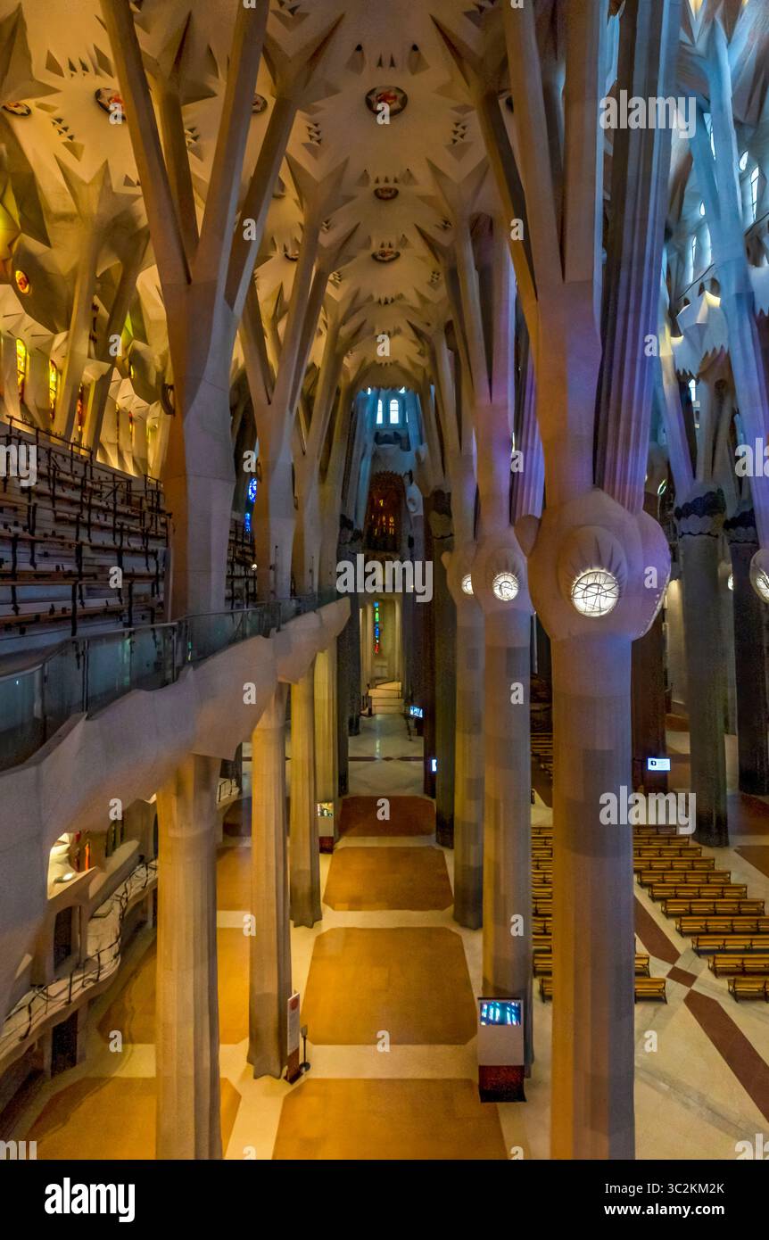 The Grand Hall and Tree-like Columns of Gaudi Sagrada Familia Basilica ...