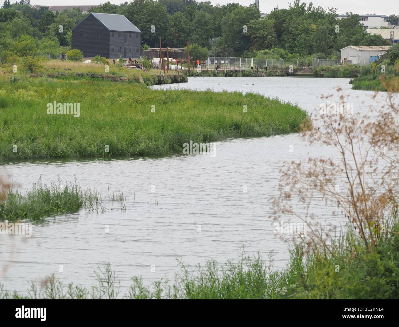 Milton Regis, Kent, UK. 24th July, 2025. Milton Creek, once helped ...