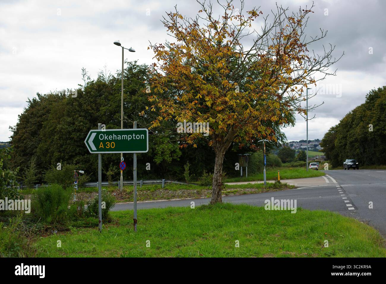 Horse Chestnut tree Aesculus hippocastanum Horse Chestnut tree Aesculus ...