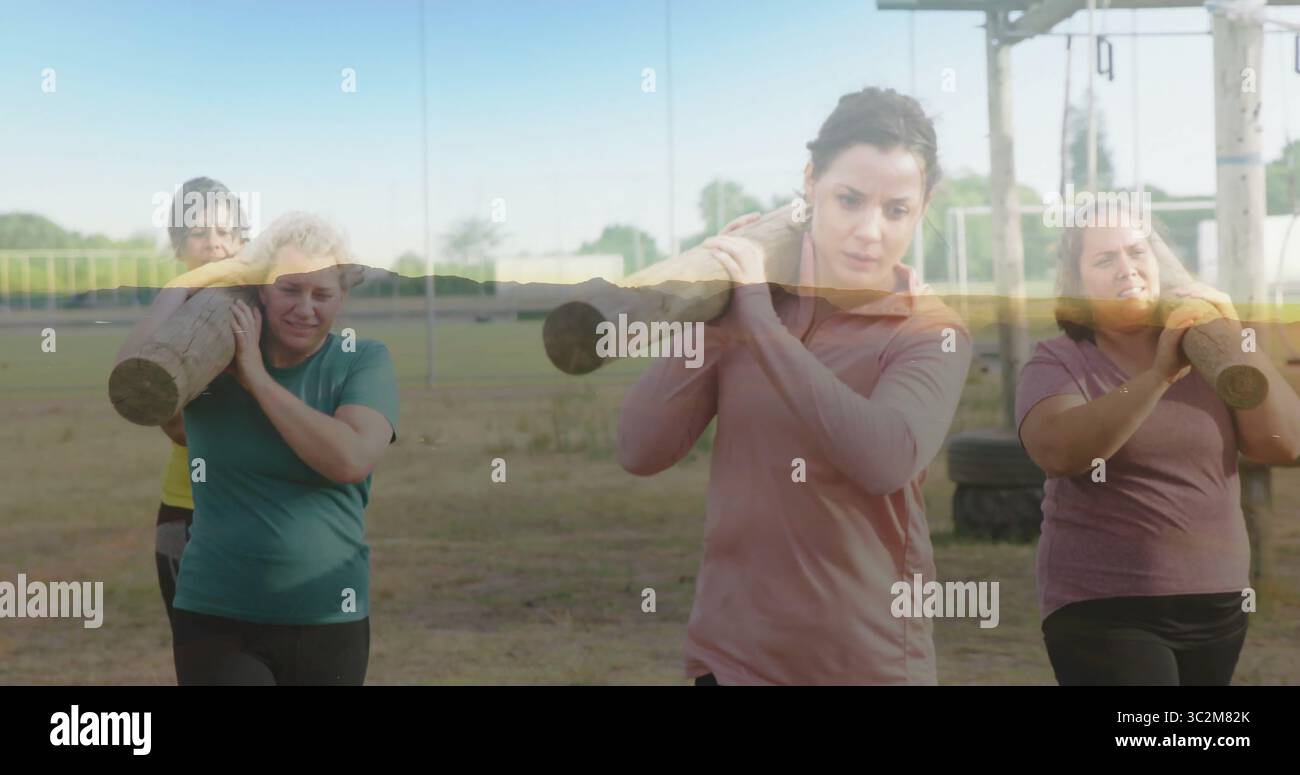 Carrying woman in pink sports top shouldering wooden log across ...