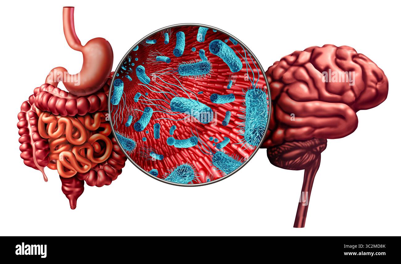 Sixth Sense In The Gut and Microbiome in the gut as bacteria flora ...