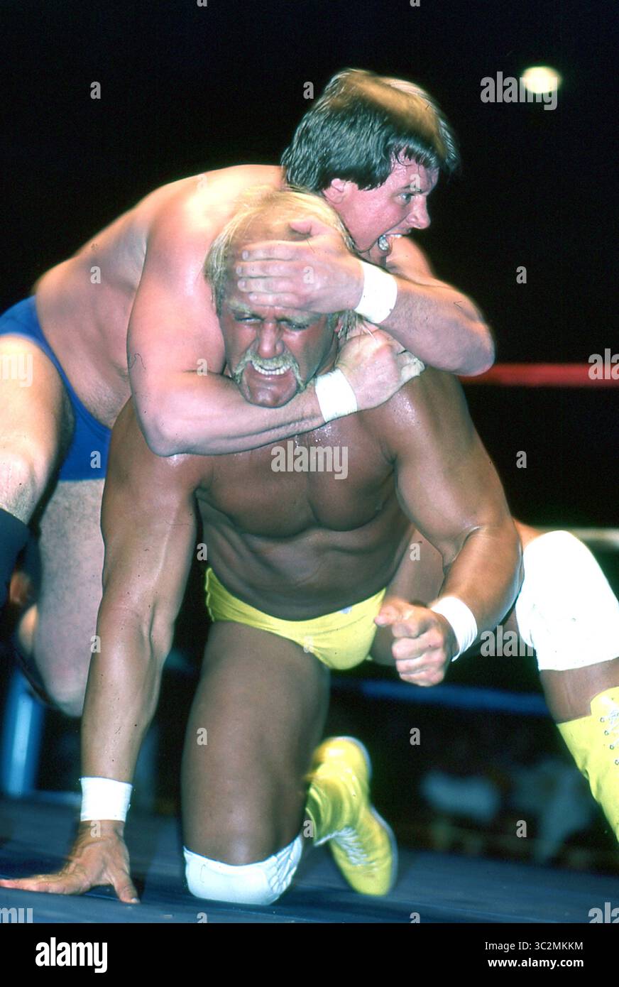 **FILE PHOTO** Hulk Hogan Has Passed Away. New York, NY- July 31 ...