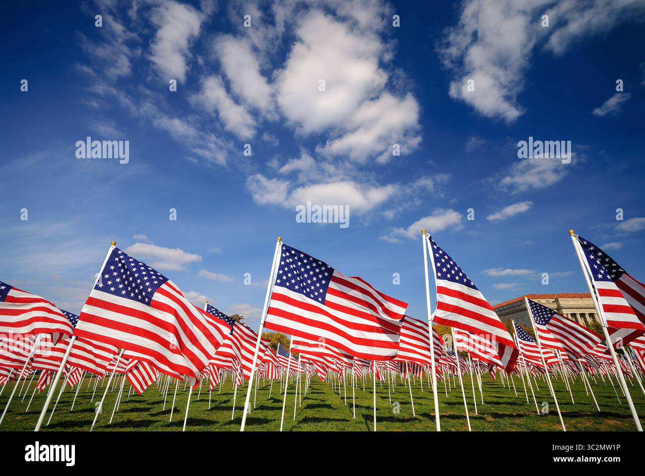 American Flags Installation National Mall Washington DC // WASHINGTON ...