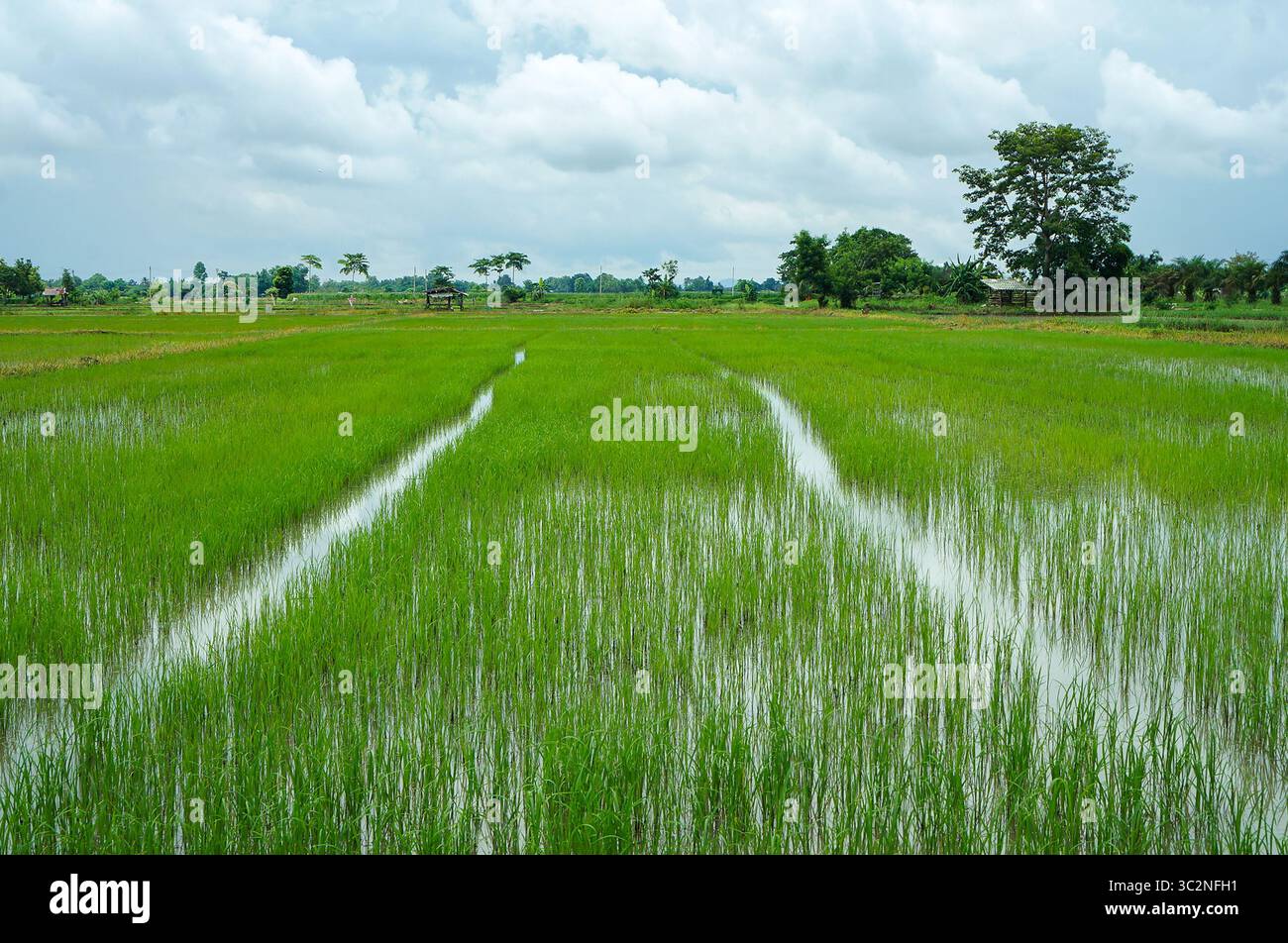 Vast expanse farmland stretches hi-res stock photography and images - Alamy