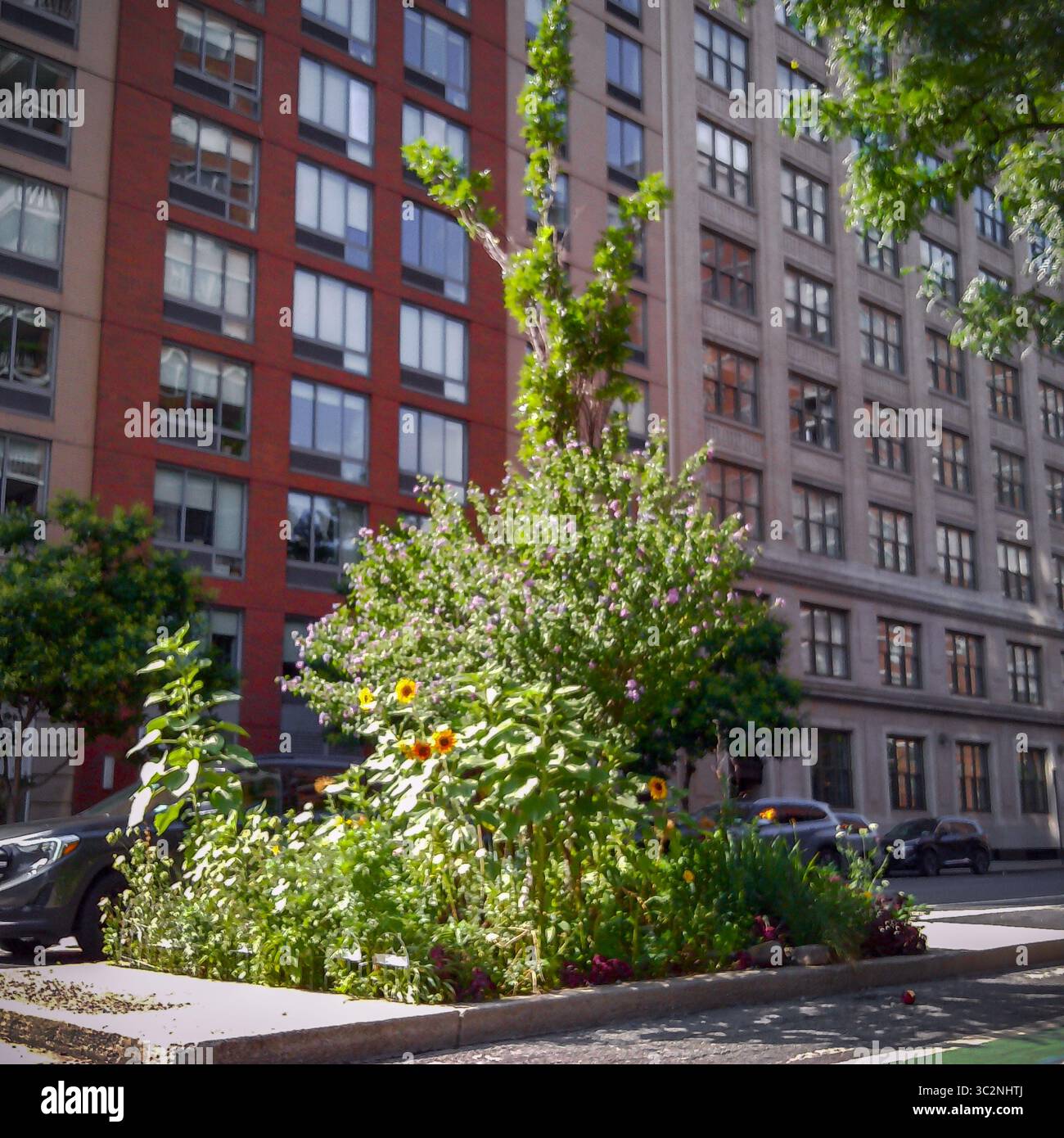 Roadway pedestrian safety island hi-res stock photography and images ...