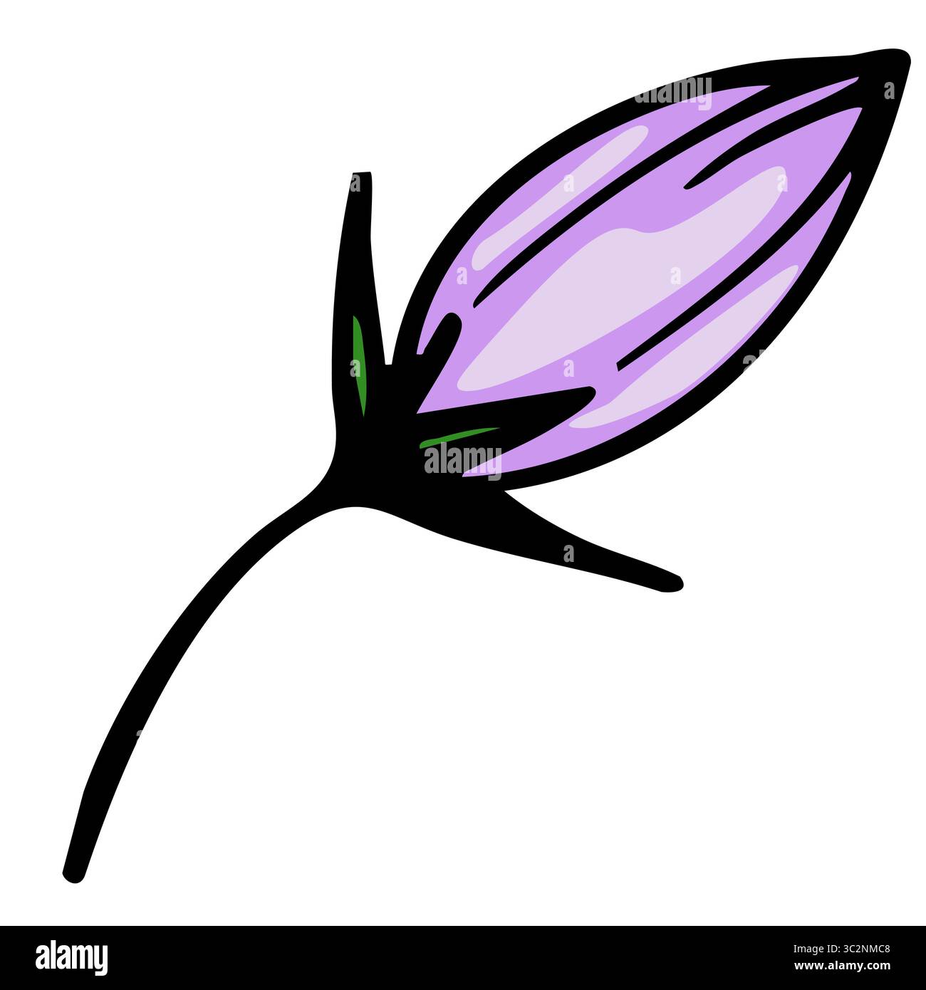 A vector stylized illustration of a purple bellflowers bud with green ...