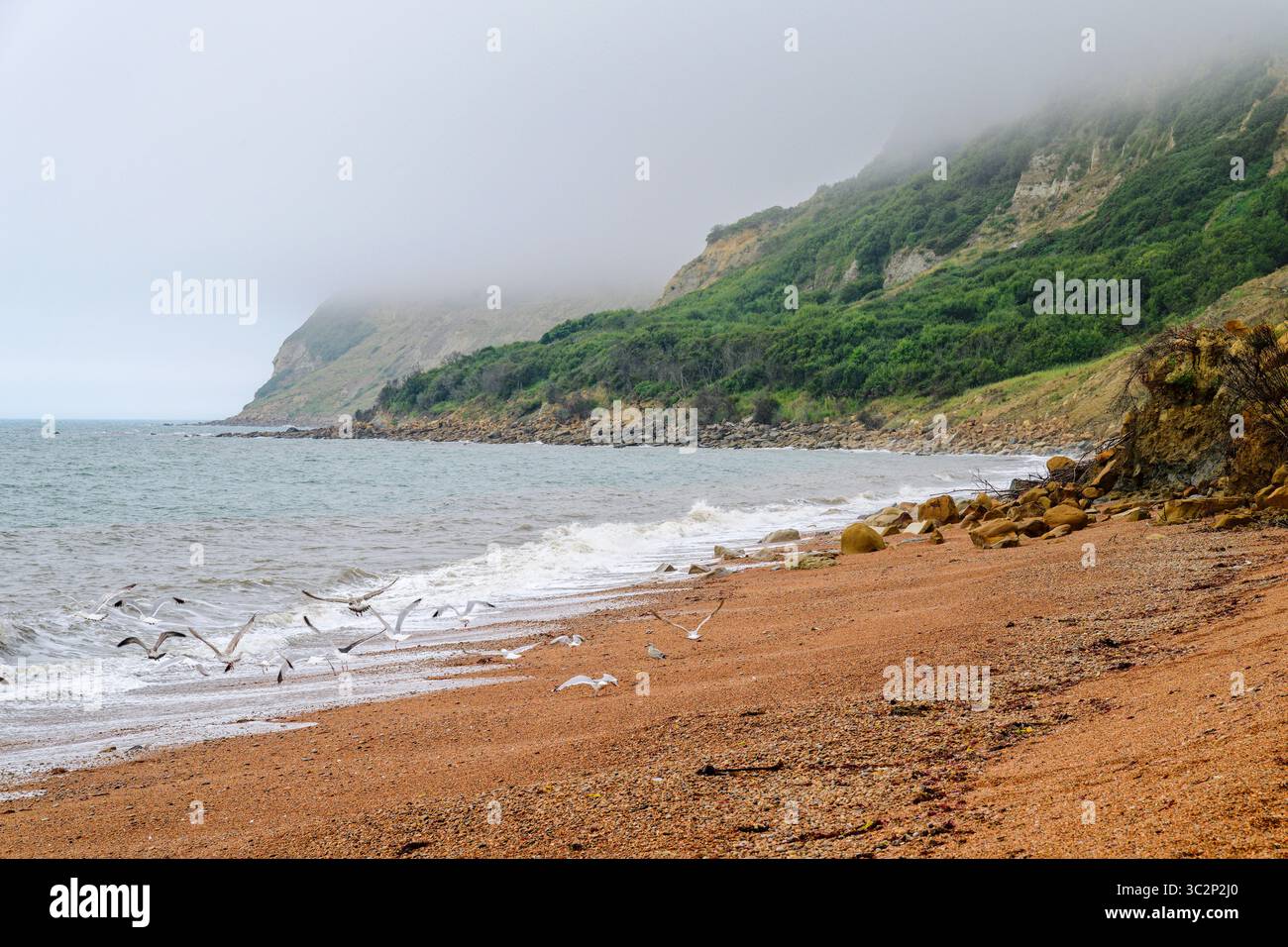 Eype Beach Dorset England UK Stock Photo - Alamy