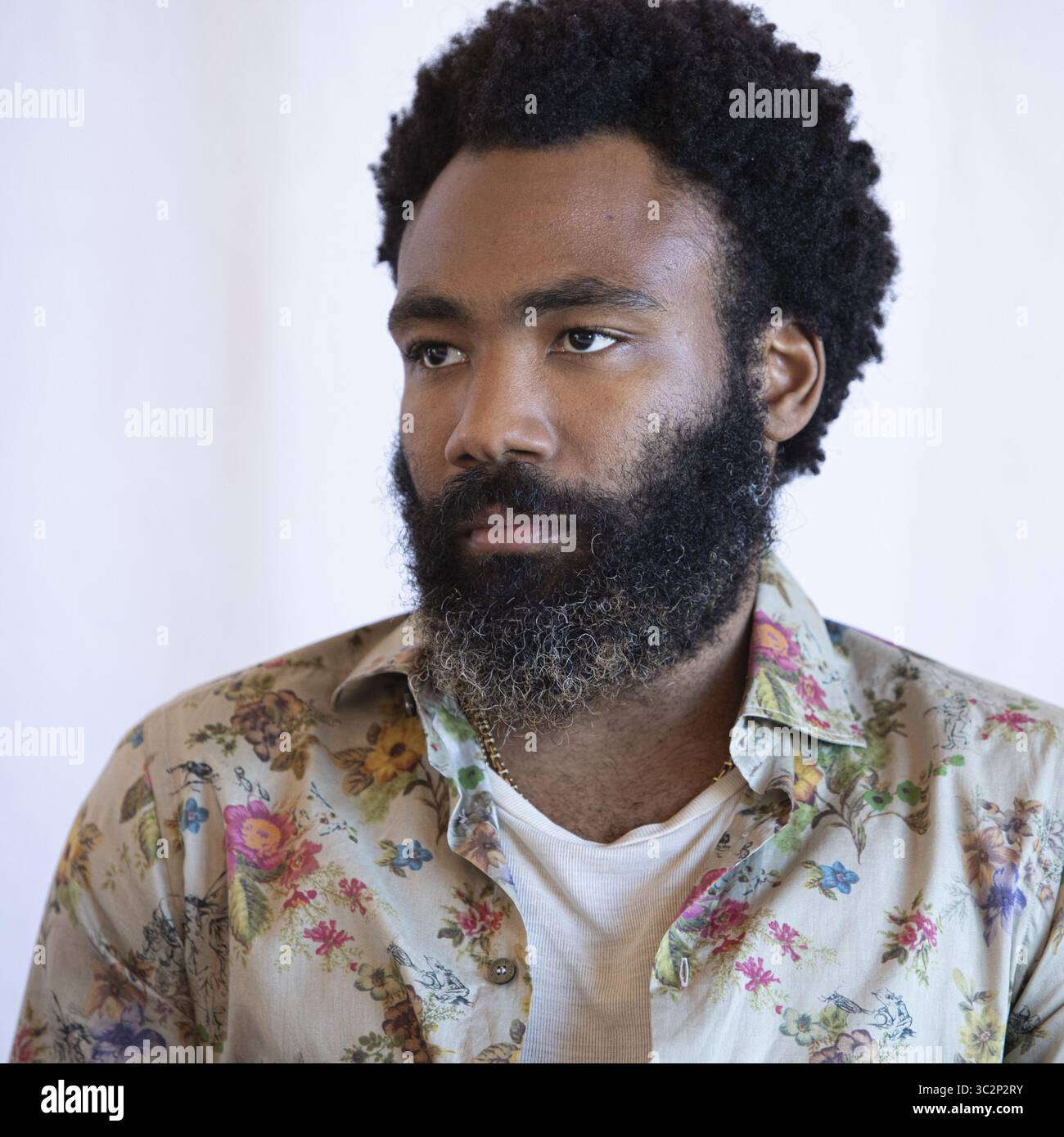 July 10, 2019, Hollywood, California, USA: Actor, singer, musician ...