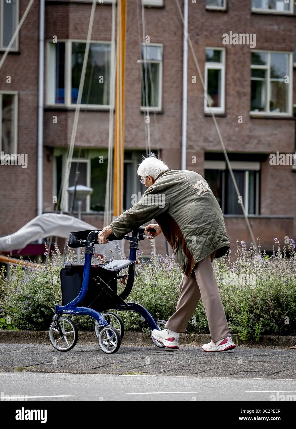 GOUDA - Elderly people walk the streets ANP /HOLLANDSE HOOGTE /ROBIN ...