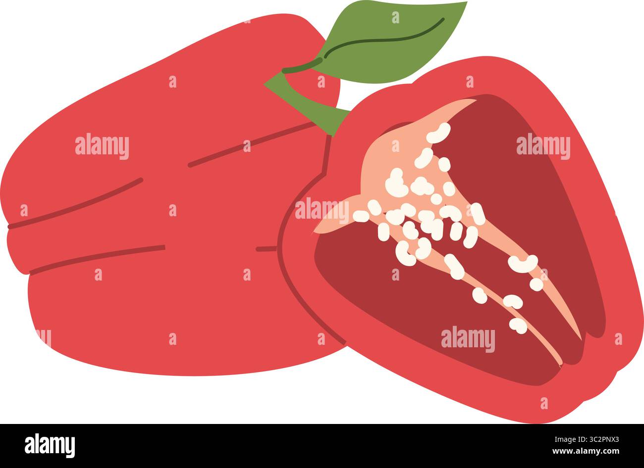 Colorful red bell pepper illustration with seeds and green stem Stock ...