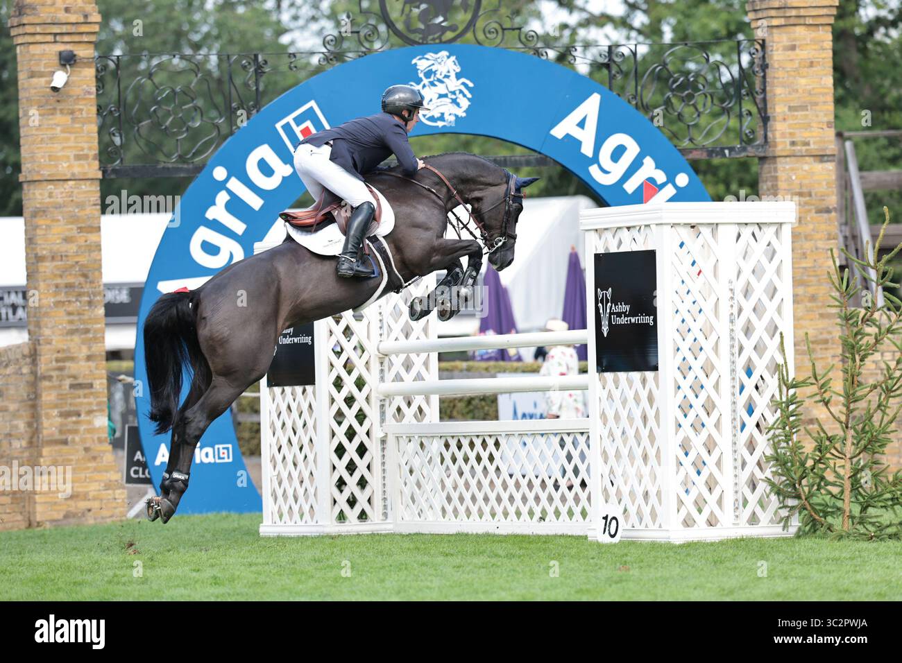 Cian o'connor horse hi-res stock photography and images - Alamy
