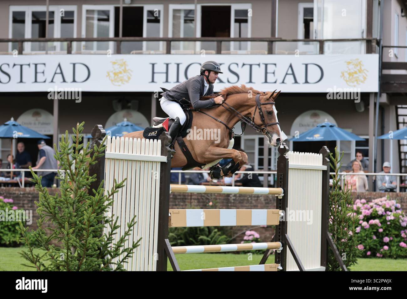 Donald Whitaker of Great Britain riding Auria Fanco Z during the ...