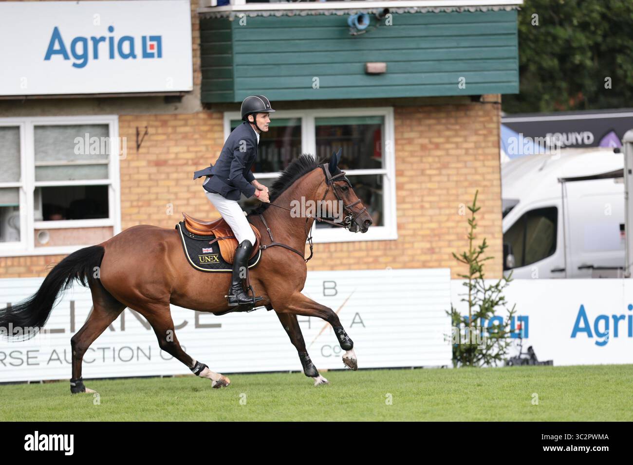 James wilson picobello horses hi-res stock photography and images - Alamy